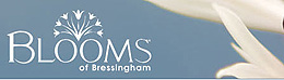 Blooms of Bressingham launches new website - Garden Center