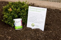 City of York, Pa., and Ostara Nutrient Recovery Technologies open ...