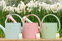 Pastel Watering Cans - Garden Center
