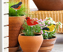 Plant Pal Singing Bird Moisture Meter - Garden Center