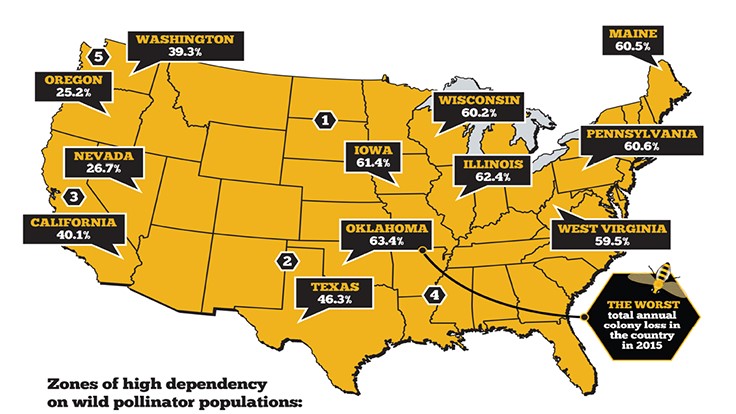 Mapping pollinator loss - Garden Center