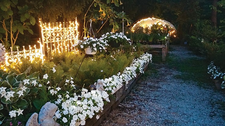 Garden delight after dark - Garden Center