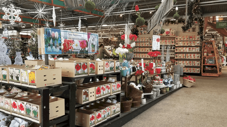 Flower bulbs | Netherland Bulb Company makes marketing a breeze ...